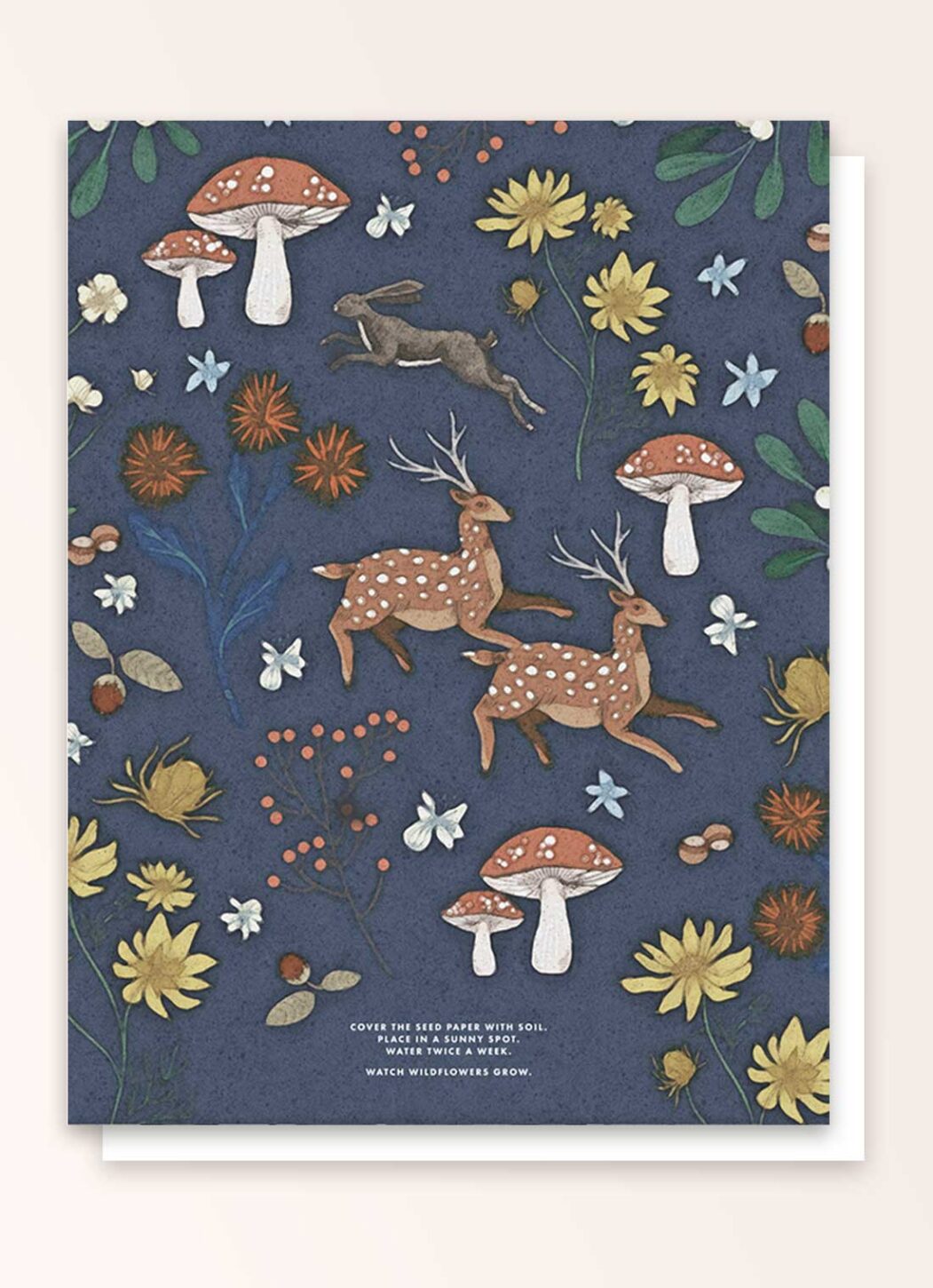 Viola Brun – Kunsttryk & plakater